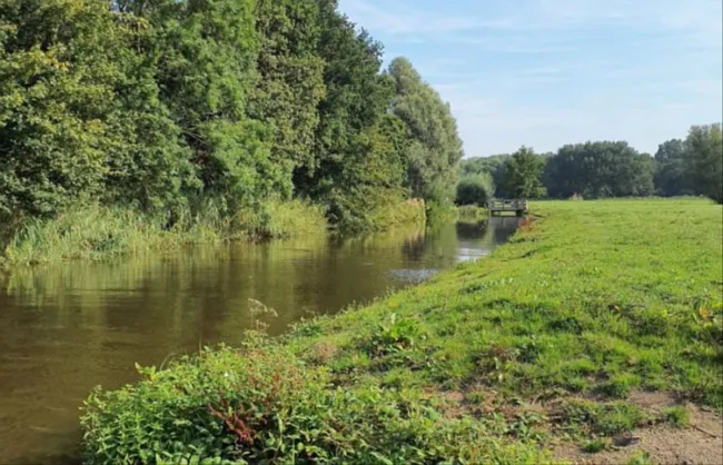 Minder uitheemse rivierkreeften bij aanleg van natuurvriendelijke ...